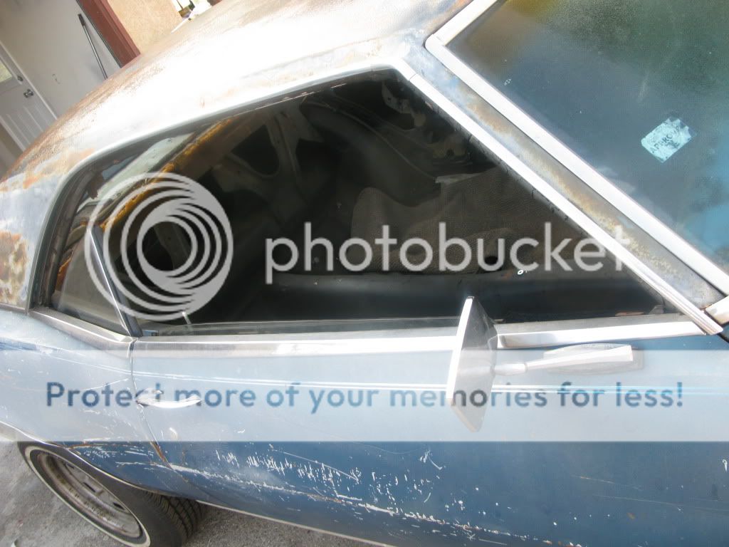 Consumer Affairs windshield sticker | Team Camaro Tech